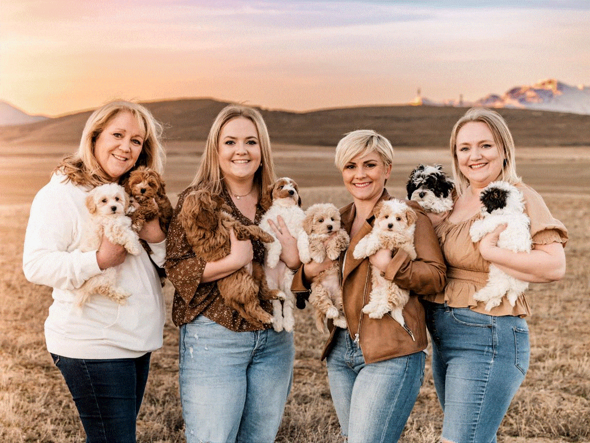 Lady Paws Puppies – Ethical, Lovingly Raised Puppies! 🐾 ️
