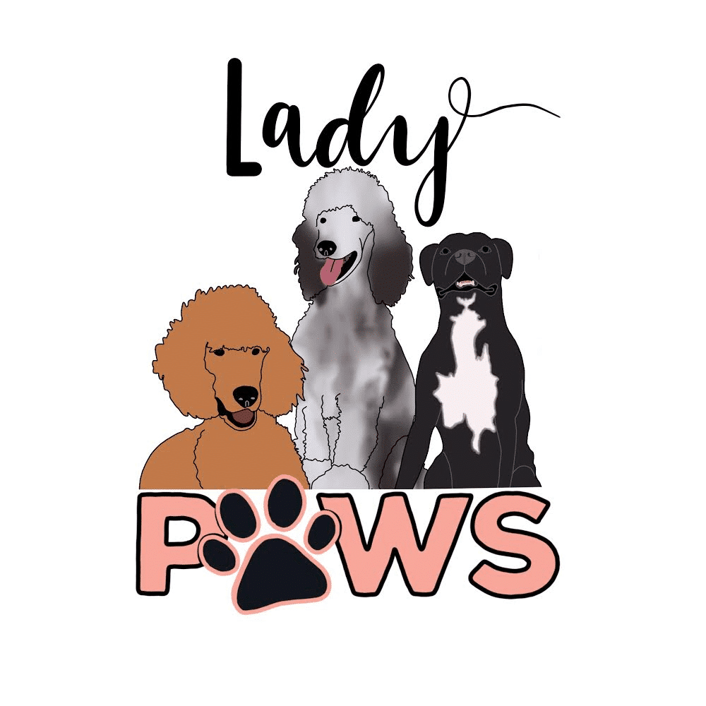 Home - Lady Paws
